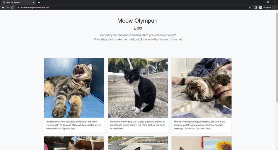 STF Secret of Meow Olympurr: Creating a CTF Challenge with Cat Pictures Part 2 | by Glenice ...