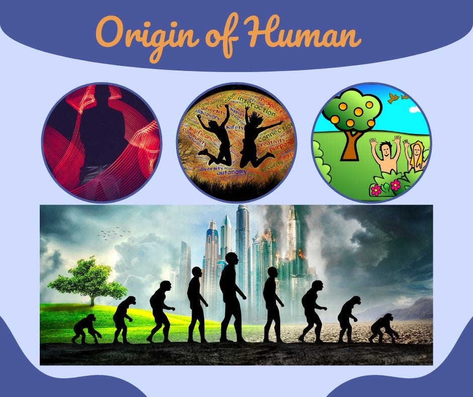 “Unveiling Our Origins: Tracing the Remarkable Journey of Human ...