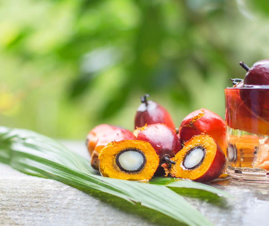 Blockchain Technology for Palm Oil Traceability: A Game-Changer in ...