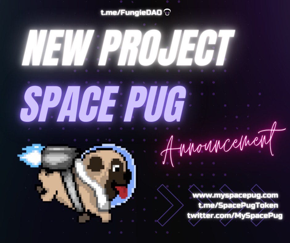 Space Pug — New P2E game token joins the Fungie DAO Family, exclusive ...