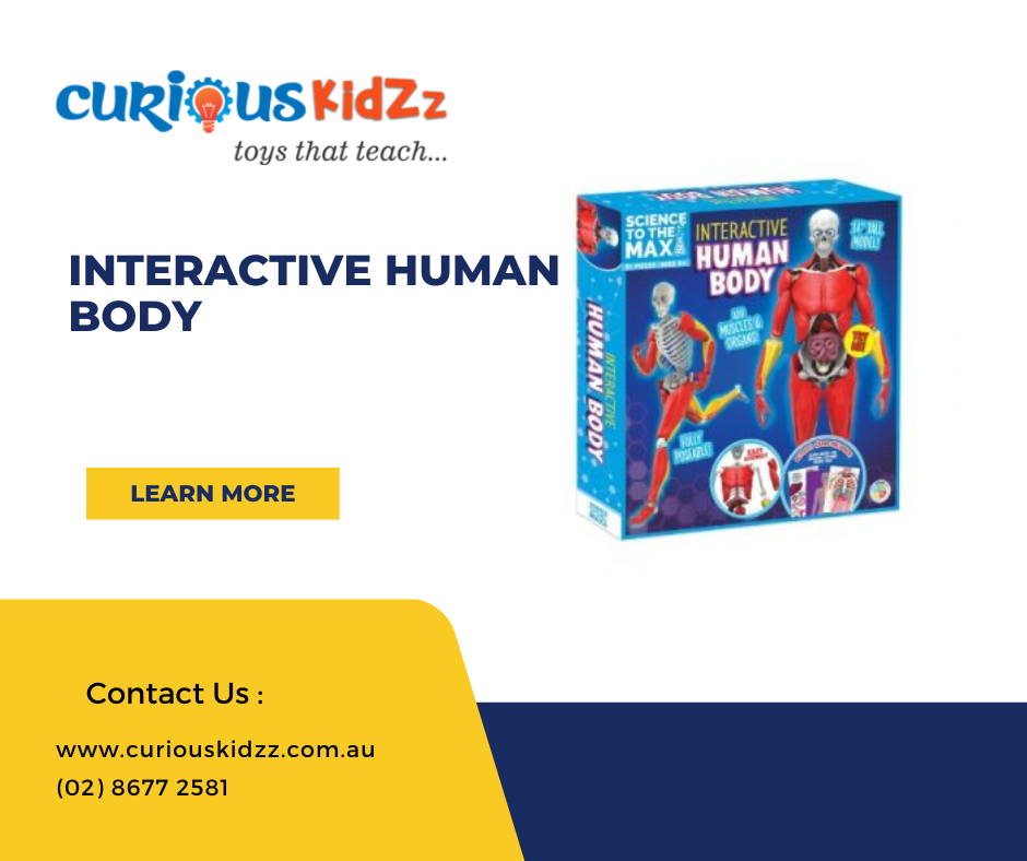 Interactive Human Body. The Science To The Max — Interactive… | by ...