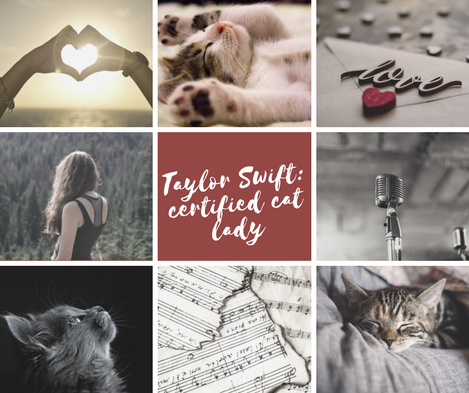 Taylor Swift Just Single-Handedly Made Being A Cat Lady Cool | by ...