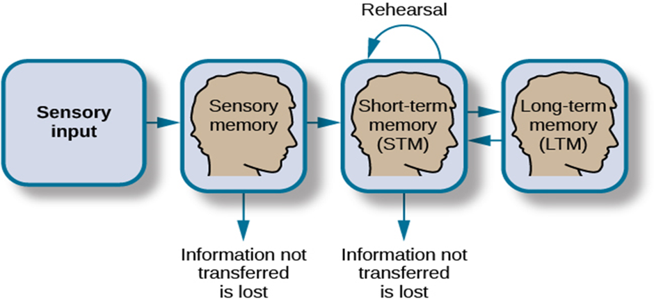 How to Improve Memory Mastery: 9+ Methods to Get Recall Results | by ...