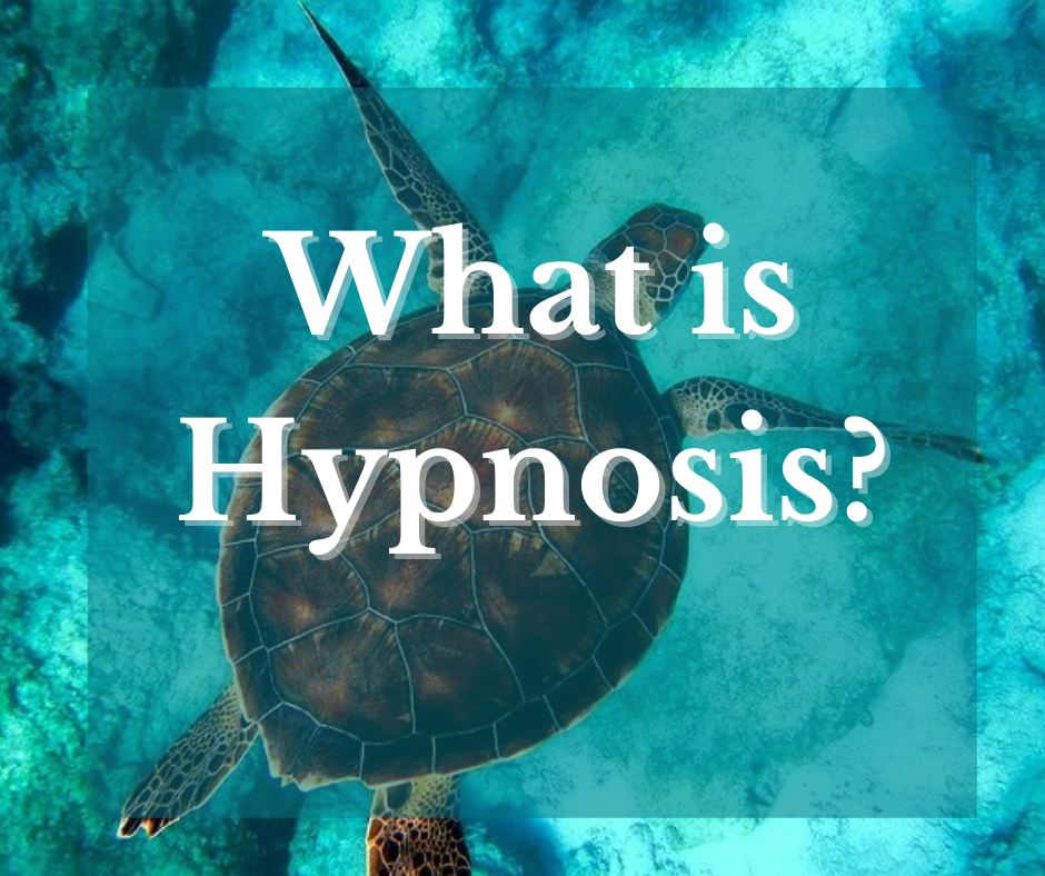 What is Hypnosis?. It is a natural part of life that we… | by Harlow ...