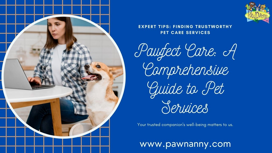 How to Find Trustworthy Pet Care Services: A Comprehensive Guide | by ...