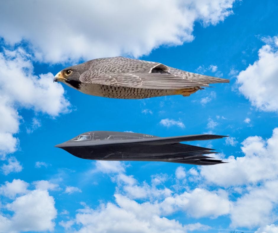 Meet the Airborne Stealth Assassin: A Missile With Feathers - The ...