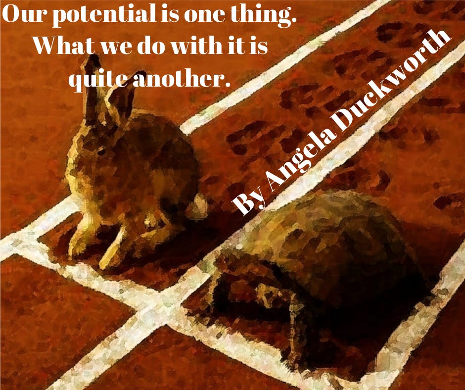 Grit: what is it and why is it so important for success? A summary of ...