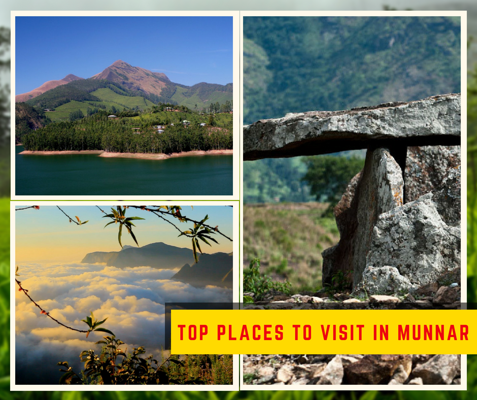 TOP PLACES TO VISIT IN MUNNAR. Munnar is a famous hill station in… | by ...