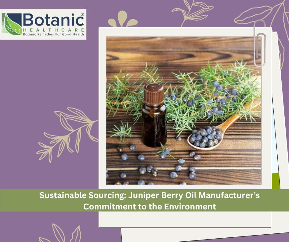 Sustainable Sourcing: Juniper Berry Oil Manufacturer’s Commitment to the Environment - Botanic ...