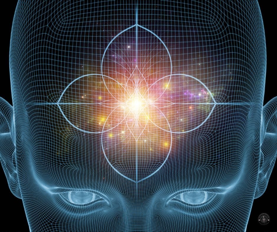 Breaking Down Bruce Lipton’s Book, “The Biology of Belief” | by Krystal ...