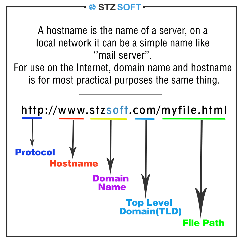 What are the different types of web hosting options? | by STZ SOFT | Medium