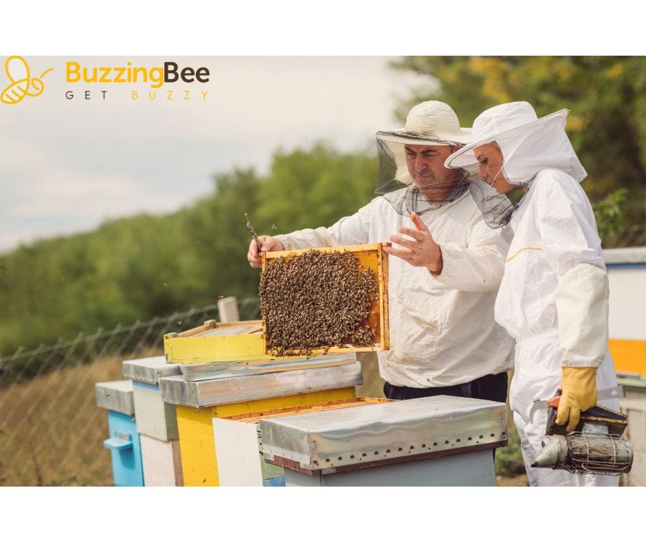 beekeeper suit.uk - Naeemnabours - Medium