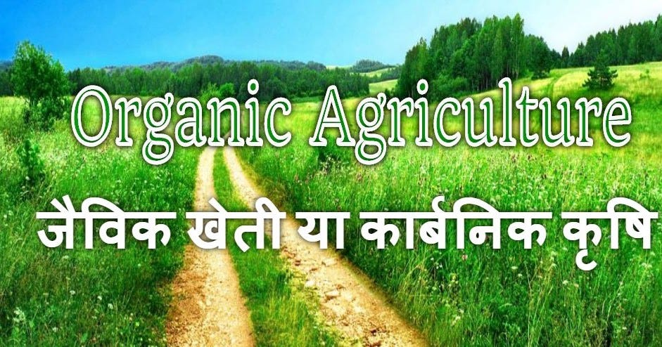 National Organic Revolution - Gramirn Job Bihar - Medium