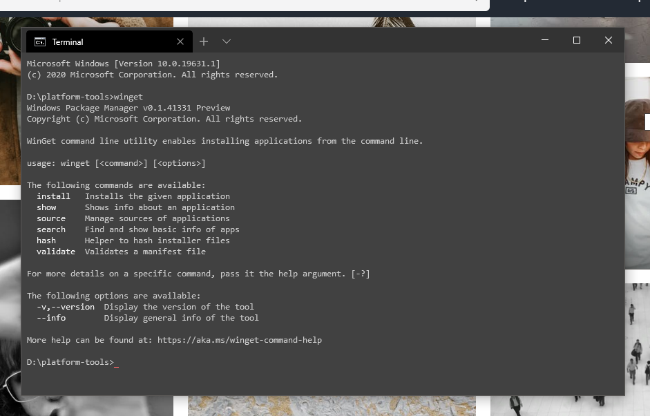 Winget, finally windows gave a built-in package manager | by Digin2.com ...