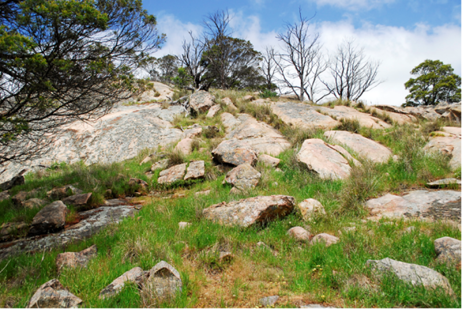 Ballarat Goldfields a Treasure for Tourists | by Russell Calvert | Medium