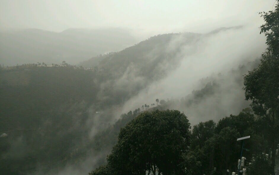 Mysterious Forests of India. Forests are large pieces of land… | by ...