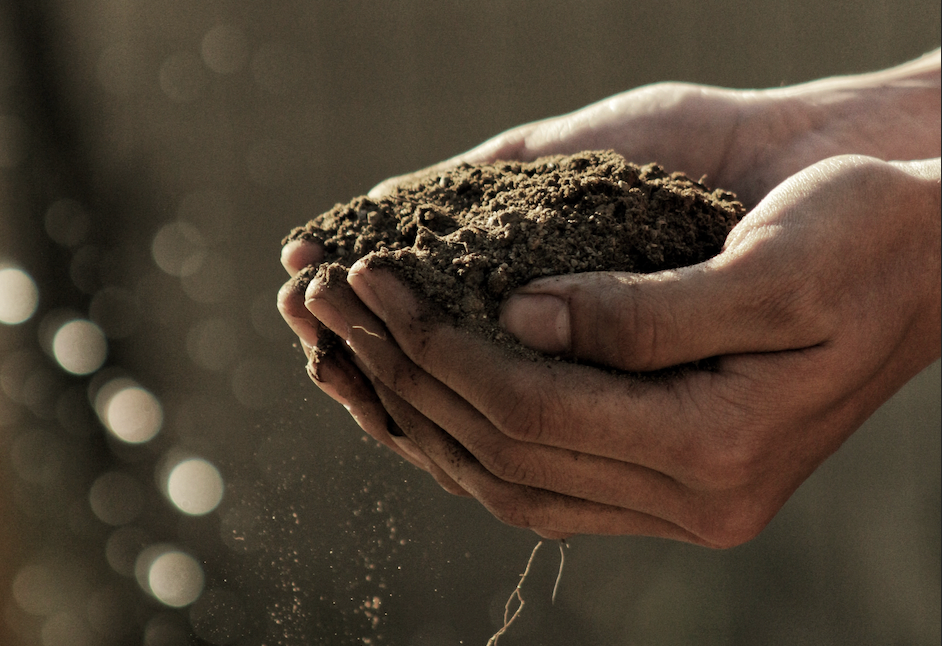 Listening to Land Stewards. Through our partnership with OpenTEAM… | by Krisha Subramanian ...