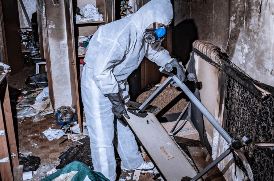 From Ashes to Architectural Elegance: SoCal Express Restoration ...