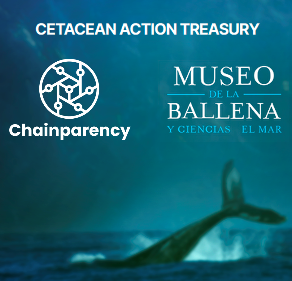 Chainparency & The Cetacean Action Treasury Partnership to save the ...