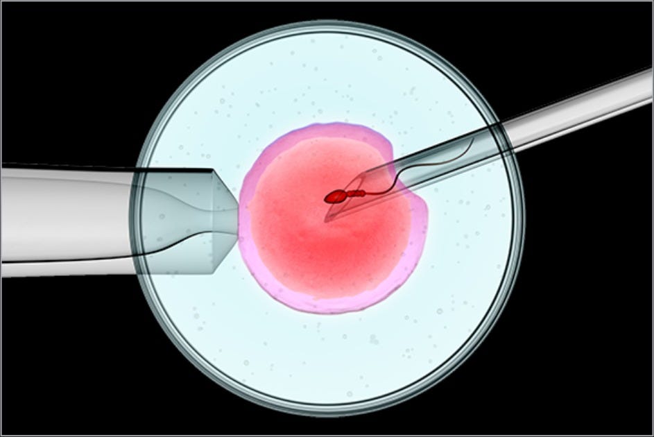 Unlocking the Future of Fertility: Jalandhar’s Test Tube Baby Center ...