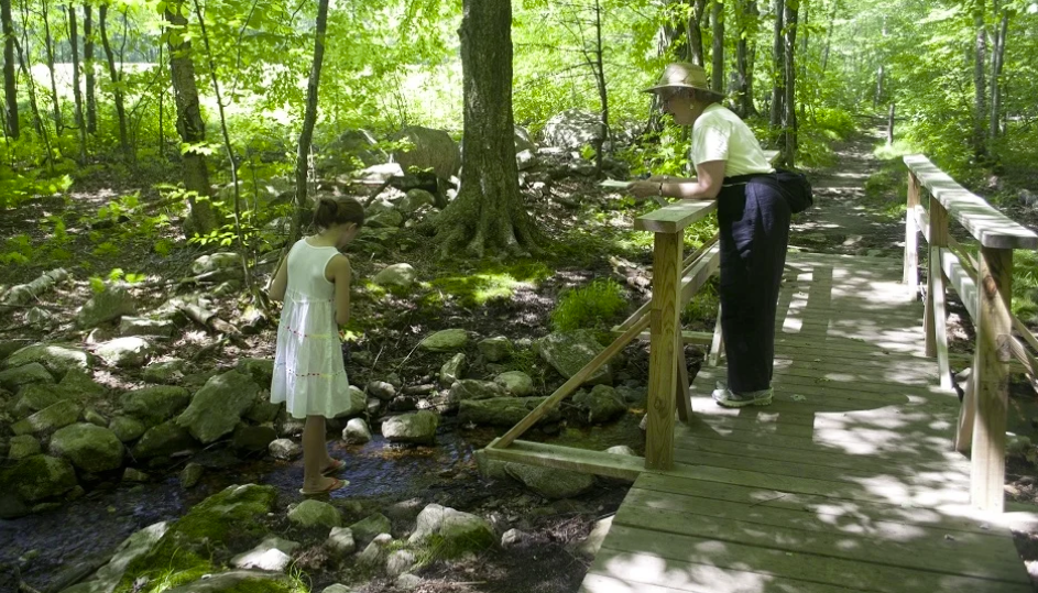 “Our Brook”. (Discussing Robert Frost’s “Hyla Brook”… | by Matthew ...