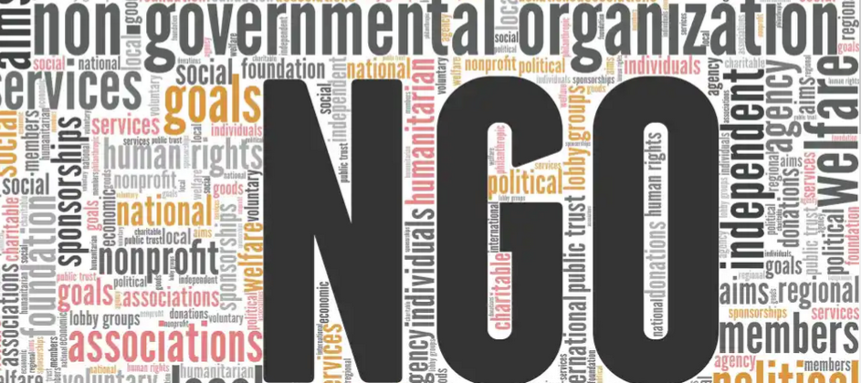 The Genesis of NGOs: Unraveling the Evolution of Social Change | by ...