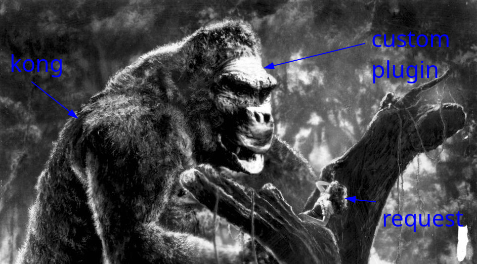 Kong plugins — intro. You will learn | by Michal Jeczalik | Medium