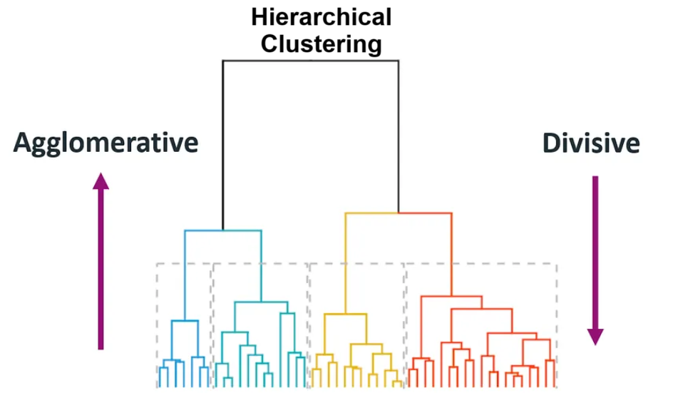Hierarchical Clustering: A Tree-Based Approach to Data Grouping | by Abhay singh | Medium