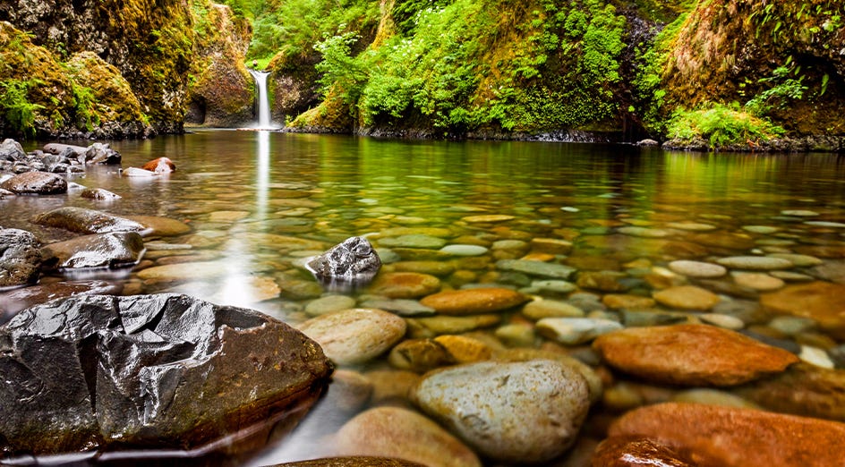 Captivated by the Beauty of Nature’s Wonders | by Into the Green | Medium