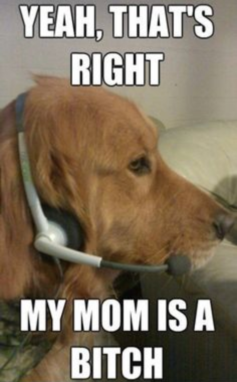 Funny Debt Collector Memes What A Madlad : R/memes