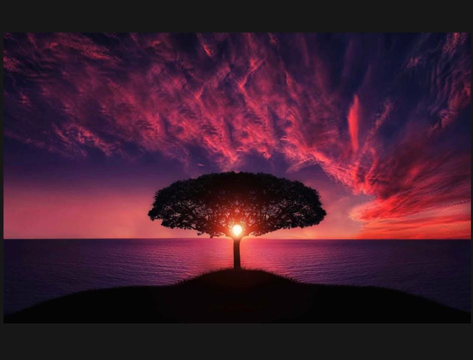The History and Philosophy of Vitalism, Biology, and Definitions of ...