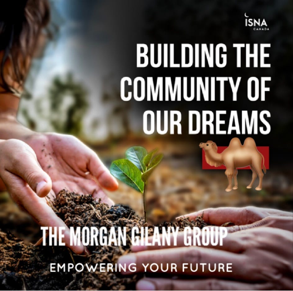 🕌 Invest in a brighter future for all. 🕌 | by Arif Gilany Camel Care ...