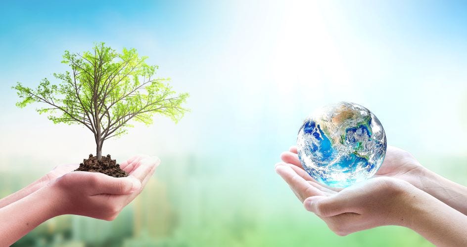 Veganism and the Environment: A Path to Sustainable Living | by Julene ...