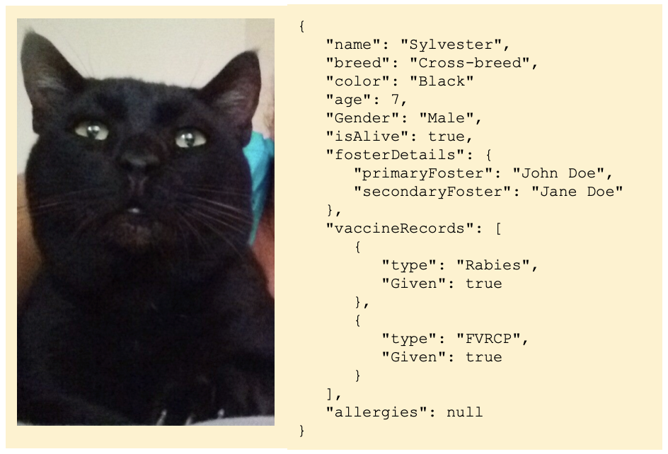 Quick intros to JSON and JWT [exclusively for cat lovers] | by Yvonne Wickramasinghe | API ...