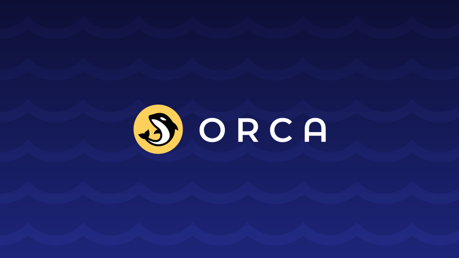 Insights on the future of Orca: an AMA with the co-founders | by Orca | Orca | Medium