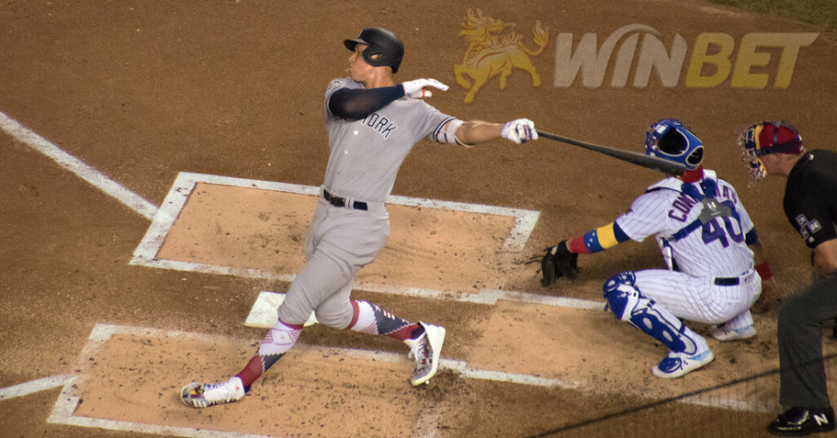 MLB直播哪裡看？棒球直播推薦，CPBL、KBO、NPB、MLB直播都有 - Winbet.df5360 - Medium