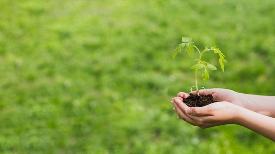 El Desarrollo Sustentable: primordial en el crecimiento de la empresa ...