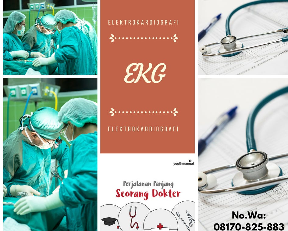 Persyaratan pelatihan EKG | 08170–825–883 | Pelatihan EKG Perki Jaya ...