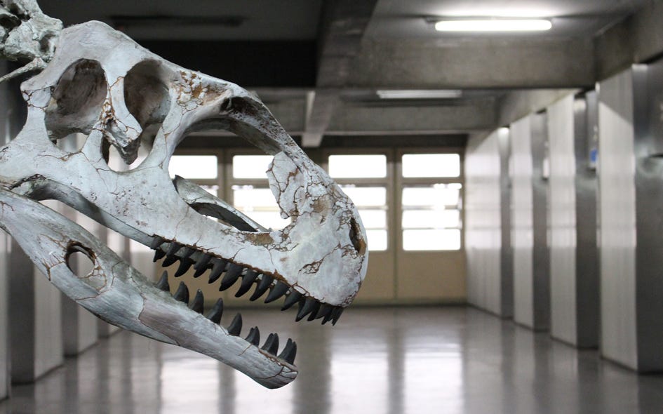 Better off Dead — Six Money Habits That Should Be Extinct | by Derek ...