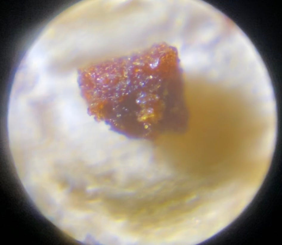 Coffee is Not Round. Microscopic View | by Robert McKeon Aloe | Medium