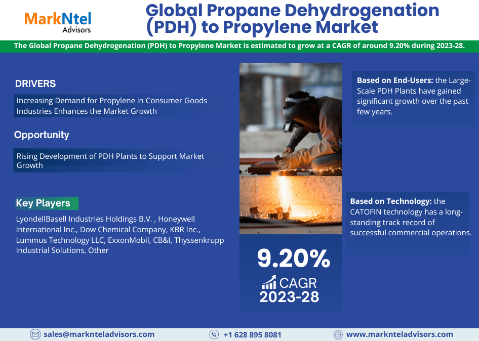 Propane Dehydrogenation (PDH) to Propylene Market Size, Business ...