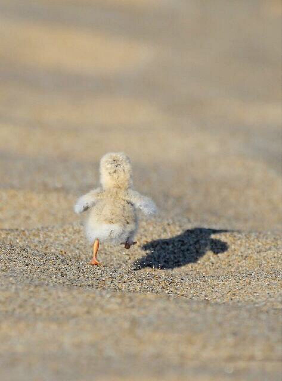 Learn quickly. I’m on my way home from my final team… | by Fay ...