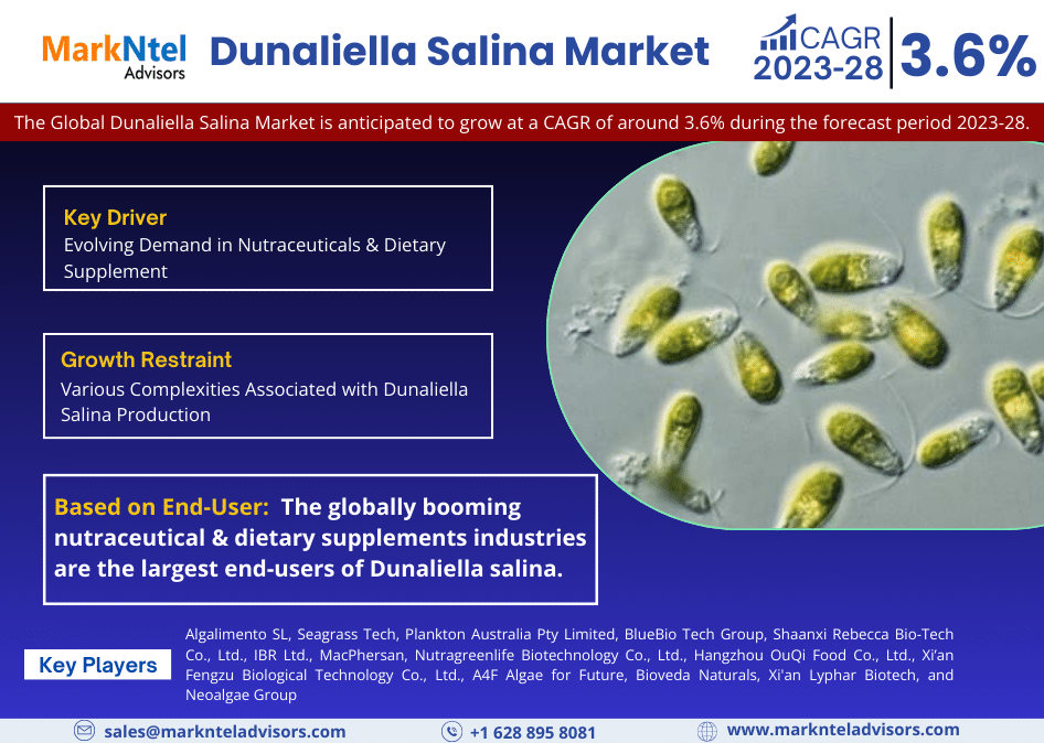 Dunaliella Salina Market Growth, Size, Share, Trends, Report and ...