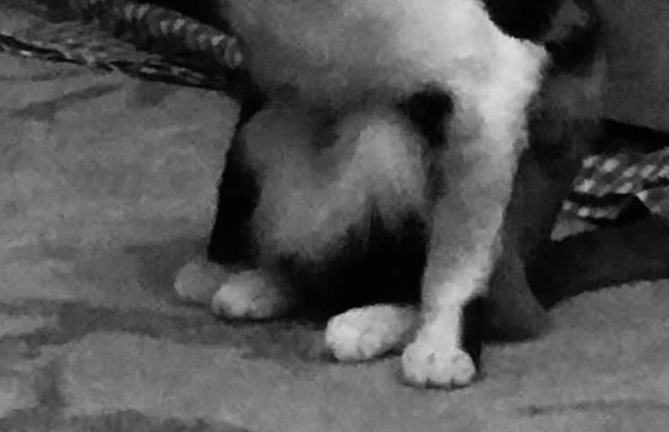 Hash| Suvd | by suvd | Medium