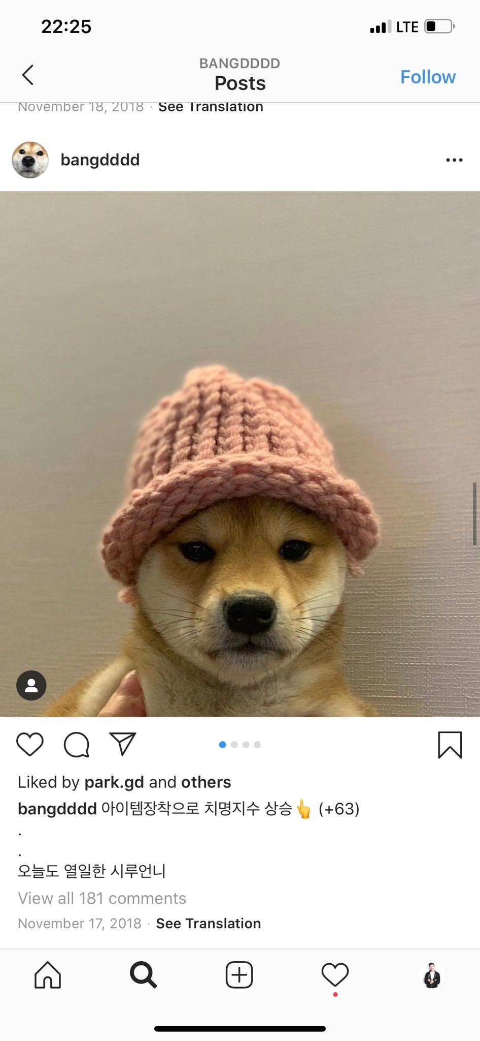 Dogwifhat ($WIF) Origin Story: From Meme Coin to $4.9B | Medium
