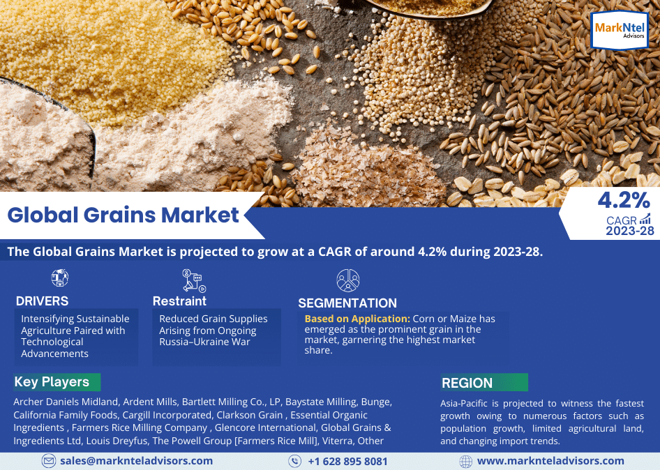 Grains Market Share, Growth, Trends Analysis, Business Opportunities ...