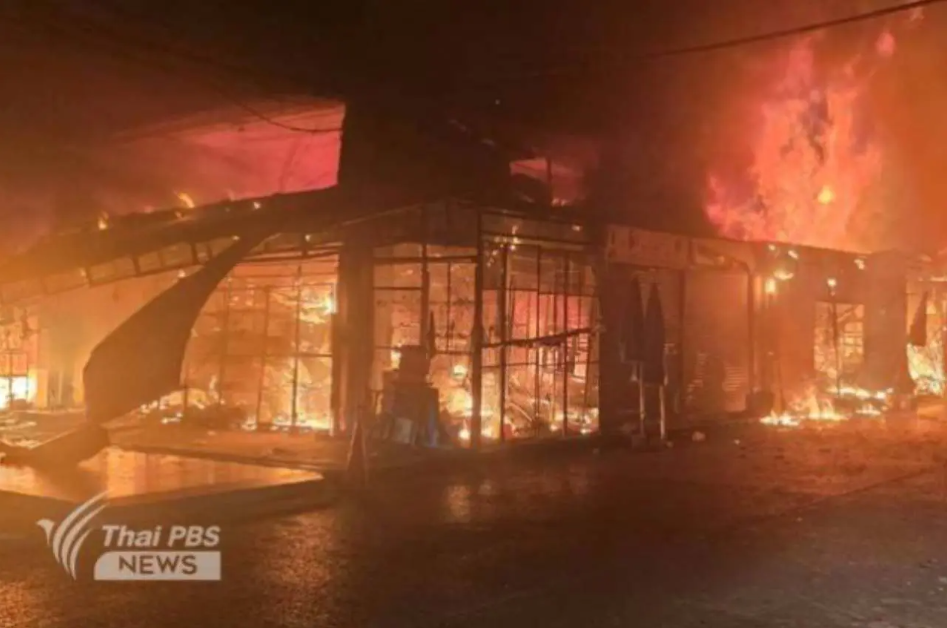 Chatuchak Fire: A Notorious Wildlife Trafficking Market in Bangkok Just ...