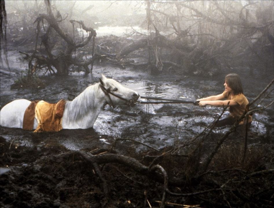 In the Swamps of Sadness: ‘There is one sign, and one sign only — and ...