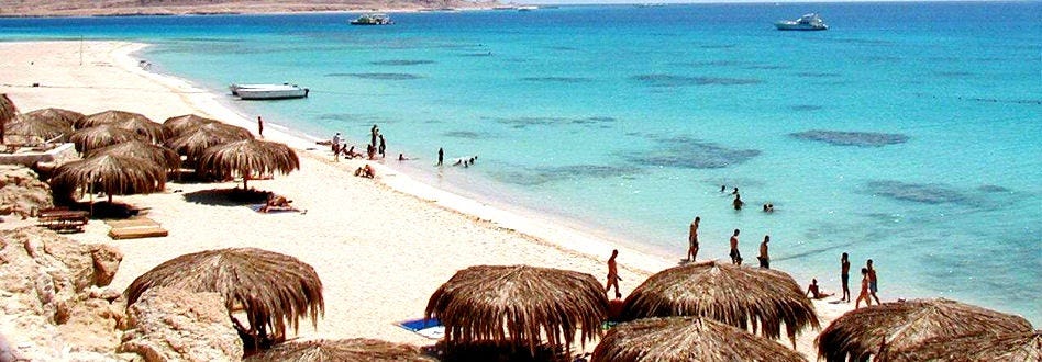 Red Sea Trips. Have you experienced snorkeling and… | by Shaspo Tours ...