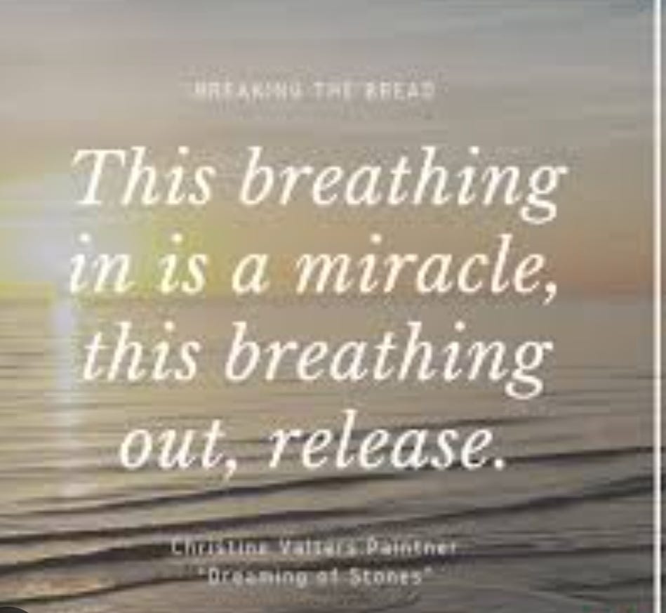 My Daily Reflections November 15th (Breathing In, Breathing Out) | by ...